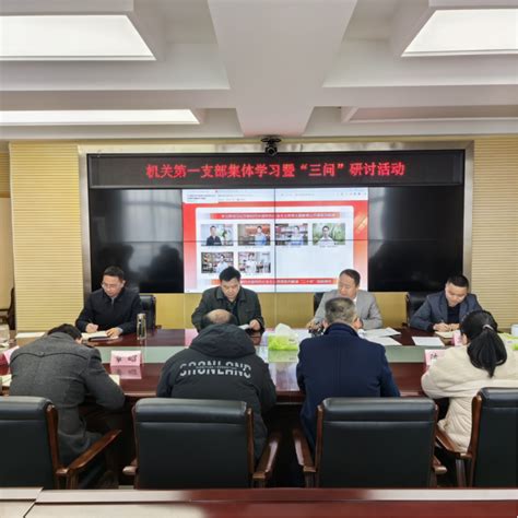 市应急局机关第一党支部开展集体学习暨“三问”研讨交流活动 六安市应急管理局