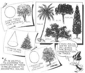 How To Draw Leaves How To Draw Step By Step Drawing Tutorials