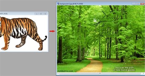 CorelDraw And Photoshop Photoshop Me Photo Ka Background Kaise Change
