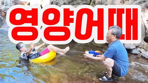 영양군 기초자치단체 브랜드 평판 154계단 껑충 한국경제