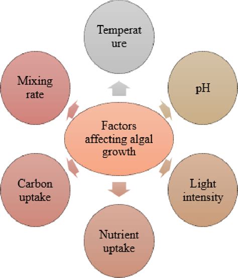 Figure 3 From A Review On Harvesting And Lipid Extraction Methods For