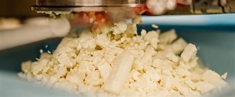 Cheese Yield Optimization Everag