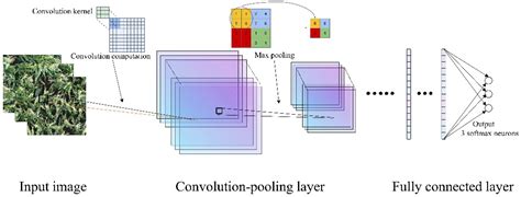 Classification Of Maize Lodging Extents Using Deep Learning Algorithms By Uav Based Rgb And