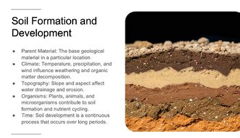 Soil PowerPoint Presentation Editable By The STEM Center TPT