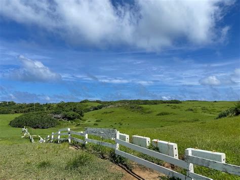 【屏東縣旅遊景點】2025年水蛙窟大草原評論和相片水蛙窟大草原一日遊懶人包旅遊攻略、導覽 遊遍台灣