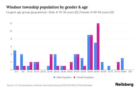Windsor Township Minnesota Population By Gender 2024 Update Neilsberg
