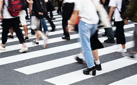 The Crosswalk Thousands Of Years Of Evolution