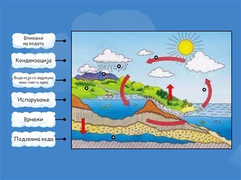 Кружење на водата во природата Labelled Diagram