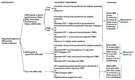 Nccn Guidelines For Central Nervous System Cancers Updates In The Treatment Of Adult Patients