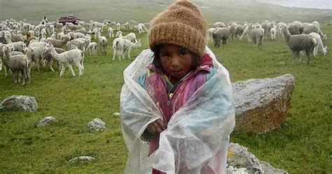 Senamhi Advierte Descenso De Temperaturas En Arequipa Moquegua Y Tacna