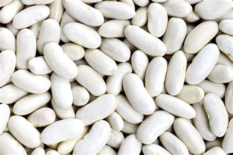 20 Facts About Urad Bean Ohmyfacts