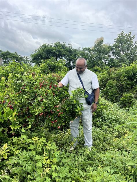 Dr Dnyaneshwar Waghchoure On Linkedin Traditional Indian Agriculture
