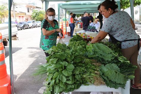 Semas realiza mais uma edição da Feira da Agricultura Familiar e