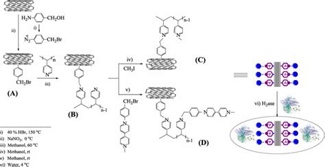 Schematic Drawing For The Preparation Of Multiwalled Carbon Nanotube