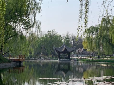 中天易学分享易学宝典滴天髓之女命章 推论