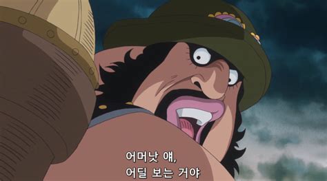 원피스 혁명군 군대장 4인방  만화 꾸르