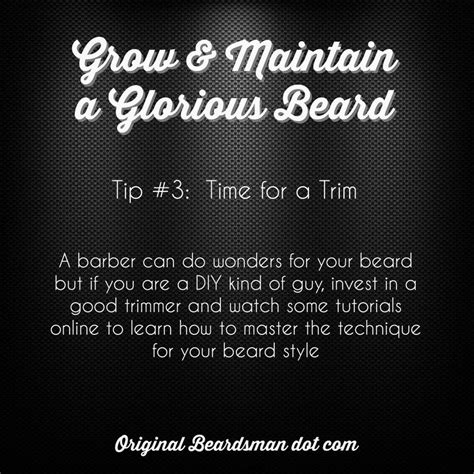 Grow And Maintain A Glorious Beard Tip 3 Time For A Trim Beard