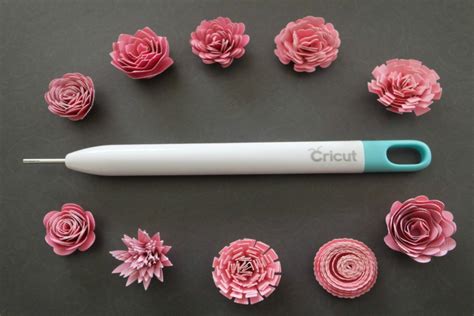 How To Roll Cardstock Flowers At Karen Medina Blog