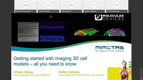 Getting Started With Imaging 3d Cell Models All You Need To Know