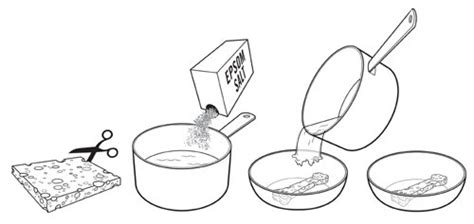 Experiment Fast Formed Fossils Emmanuel Baptist Church