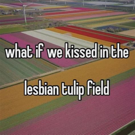 Lesbian Humor Memes Love Quotes For Ladies And Lesbians Page 21 Literotica Discussion Board