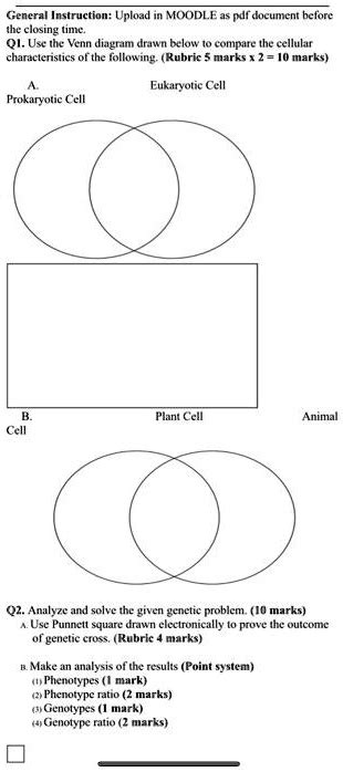 Genotype Vs Phenotype Venn Diagram