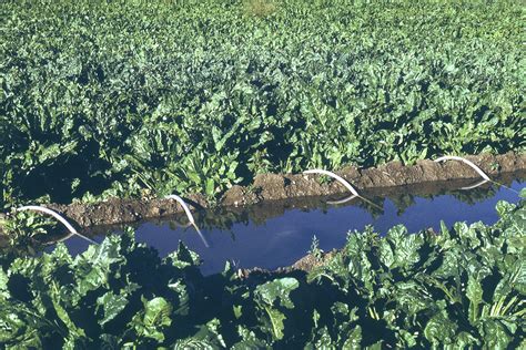 Sample Submittal Forms Soil Testing Lab