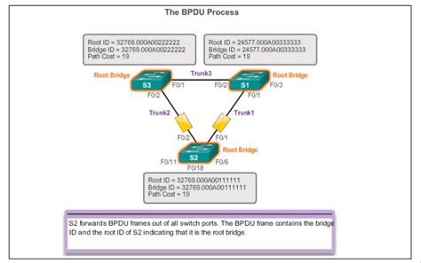 Ccna 3 Chapter 4 Cisco V503 Exam Answer 2016 100 Ccnaexam Answers
