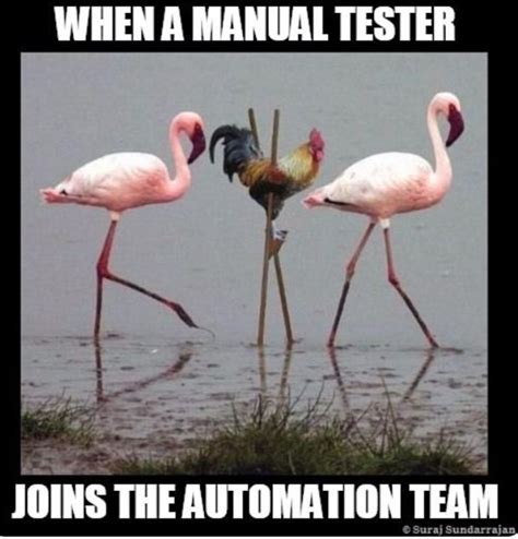 Anna Solyakh On Linkedin Yandex Qaengineer Manualtester