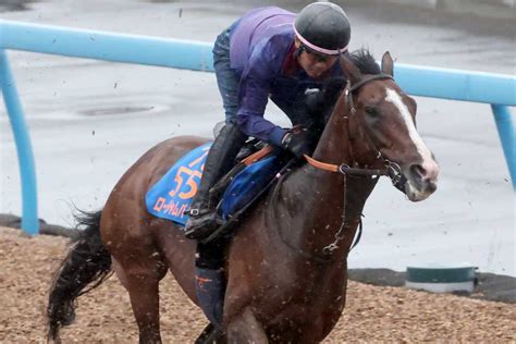 【毎日王冠】ローシャムパークが宿願のgⅠ制覇へ弾みをつける｜競馬ニュース｜競馬予想のウマニティ