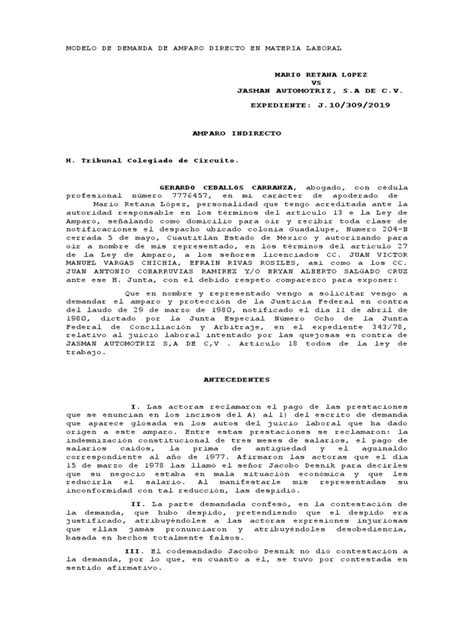 Modelo De Demanda De Amparo Directo En Materia Laboral Pdf Testigo