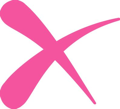Reject Icon From Business Bicolor Set Iconic Erase Mark Vector Iconic