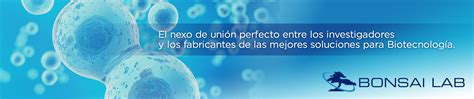 Bonsai Advanced Soluciones Analíticas
