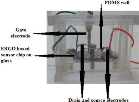 Picture Of Sensor Measurement Setup Download Scientific Diagram