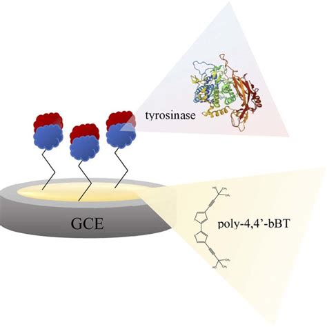Scheme Of The Bioplatform For Epinephrine Determinationglassy Carbon Download Scientific