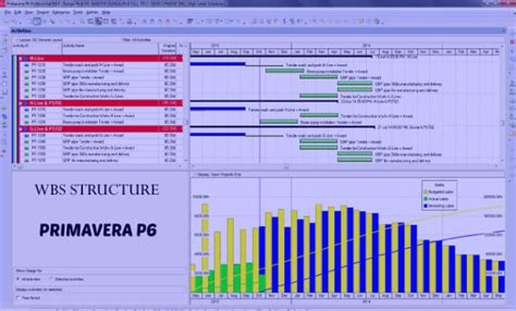 Make Your Construction Schedule By Using Primavera P6 By Soulofseo Fiverr