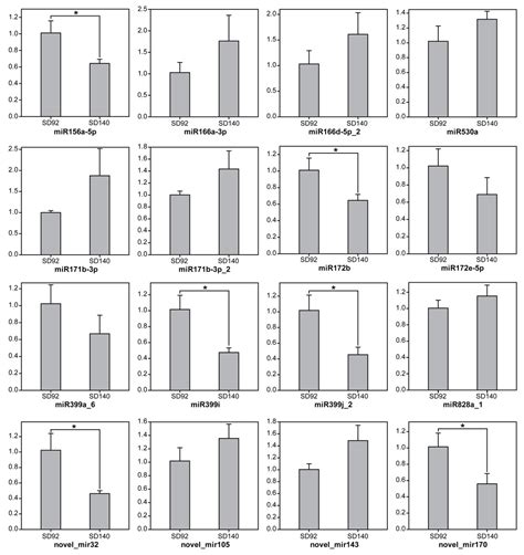 A Comparative Analysis Of Small Rna Sequencing Data In Tubers Of Purple