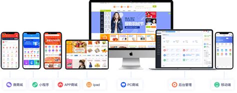 SaaS电商分销系统 融信通达