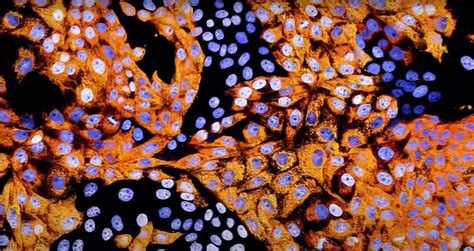 Going The Distance NVIDIA Platform Solves HPC Problems At The Edge NVIDIA Blog