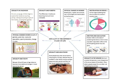 Sexuality In Different Stages Pdf Human Sexuality Puberty