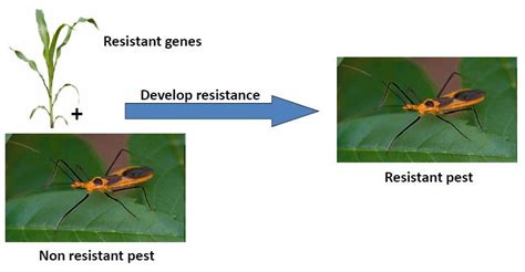 Resistance Public Health Notes