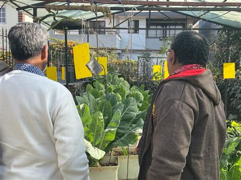 Gallery Hydroponics Nepal