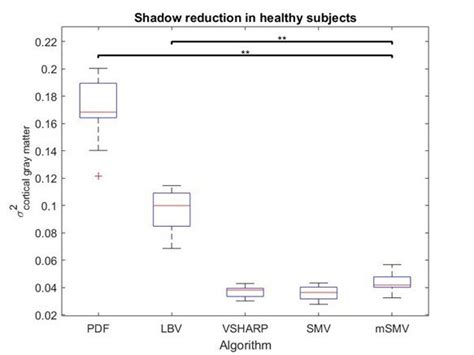 Cortical Gray Matter Variance Within Healthy Subject Reconstructions