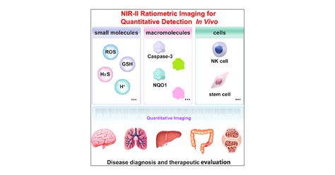 Ratiometric Optical And Photoacoustic Imaging In Vivo In The Second
