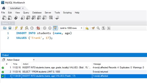 Sql Insert Statement Syntax And Examples 4