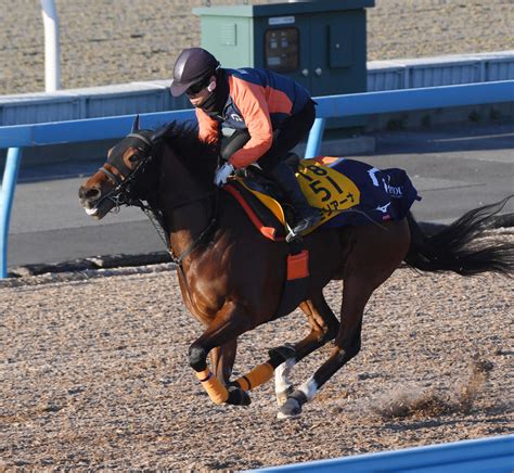 モリアーナ動き絶好も課題はテンションの高さ、武藤師「折り合いが焦点になると思う」／ajcc 競馬写真ニュース 日刊スポーツ