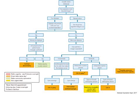 Eye Care Triage At Joe Tepper Blog