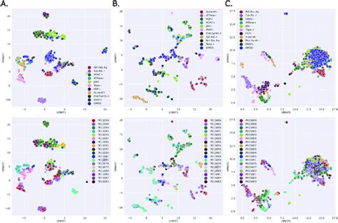 Umap Projections Dmso Normalization Umap Plots Of Features Learned