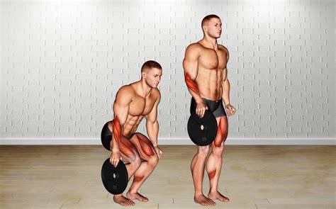 Ultimate Forearm Extensors Exercises For Strength Training Fitness Volt
