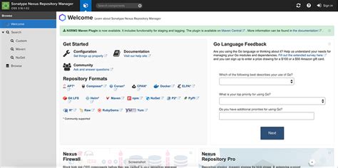 Publish Nuget Packages With Gitlab And Nexus Repository Manager By